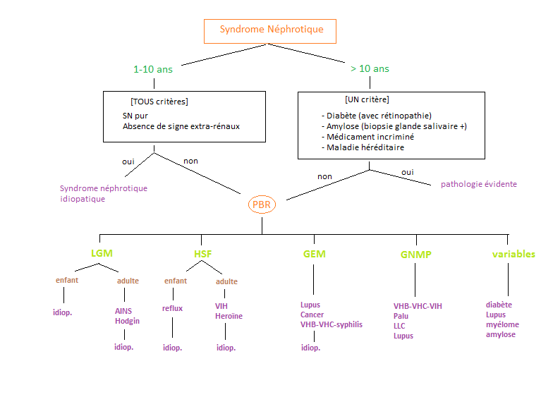 Syndrome néphrotique - MedG