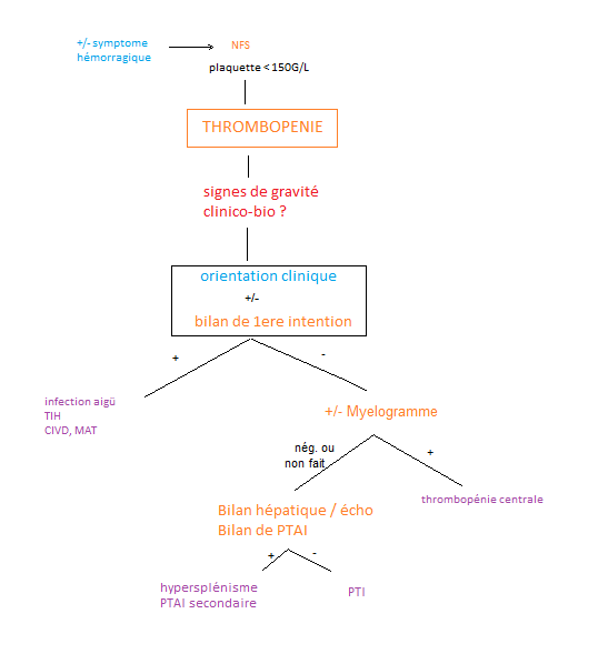 Thrombopénie - MedG