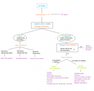 Ictère - MedG