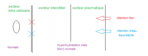 Hyperhydratation extra-cellulaire - MedG