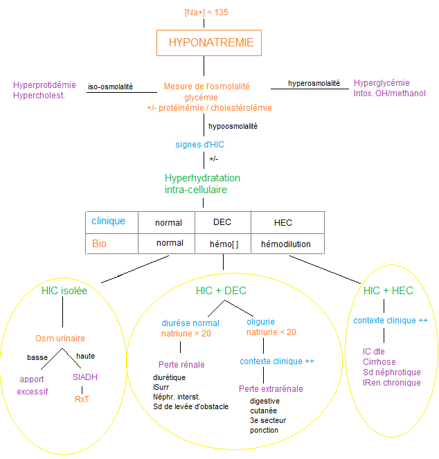 Hyponatrémie - MedG