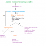Arbres décisionnels médicaux - MedG