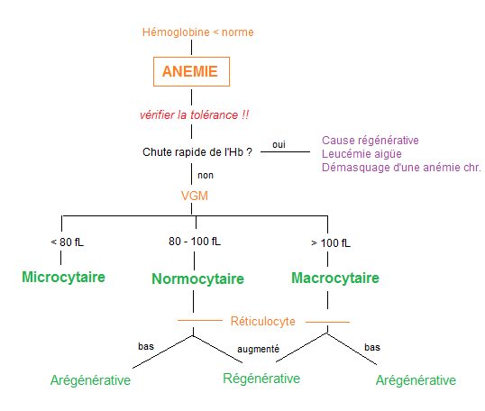 297 Anémie * MedG ~ Fiches médicales de qualité