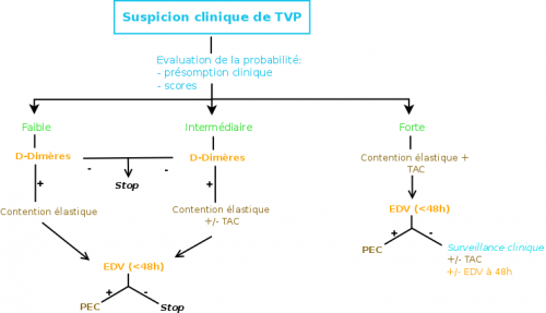 Thrombose veineuse profonde - MedG