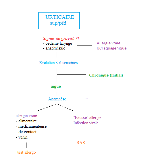 Urticaire aiguë - MedG
