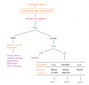 Acidose métabolique - MedG