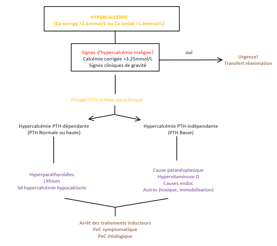 Social Trends : sciezka-diagnostyczna-u-kobiety-z-ciezka-hiperkalcemia ...