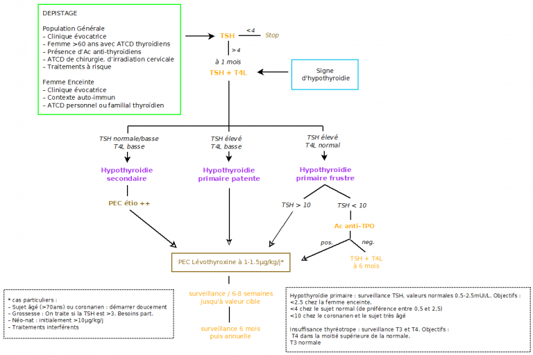 Hypothyroïdie - MedG
