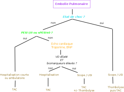 Embolie pulmonaire - MedG