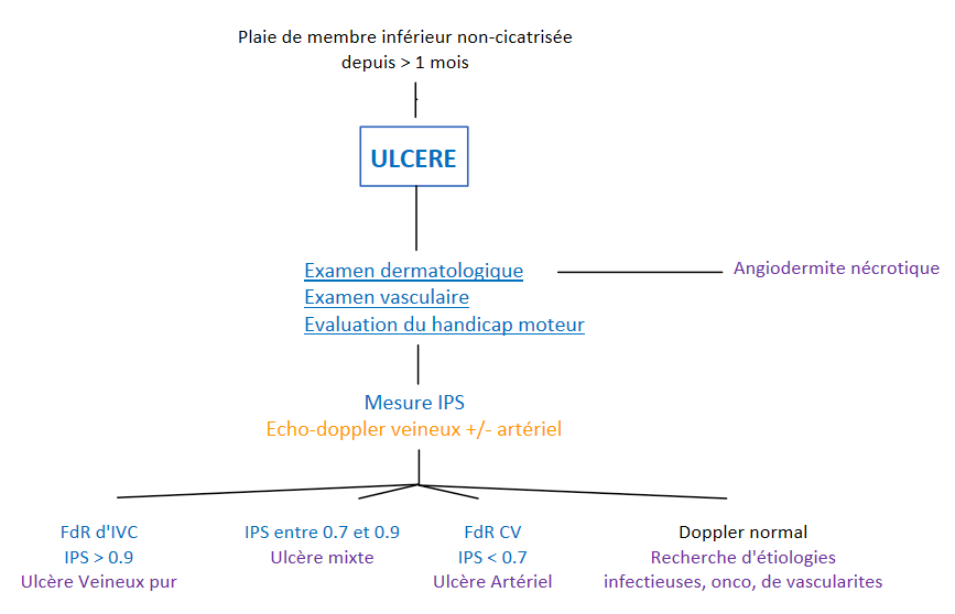 Ulcère de jambe - MedG