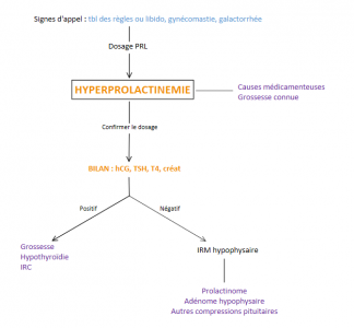 Hyperprolactinémie - MedG