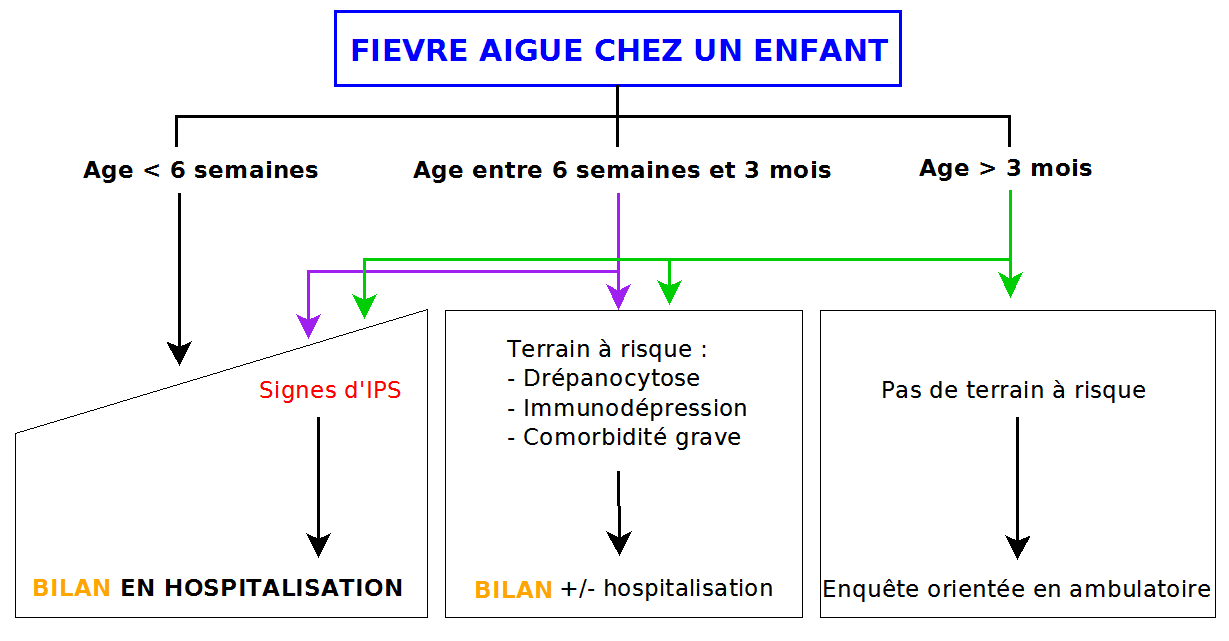 Fièvre aiguë de l‘enfant - MedG