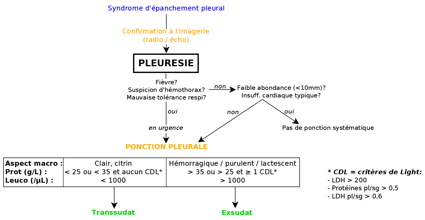 Pleurésie (1) * MedG ~ Fiches médicales de qualité