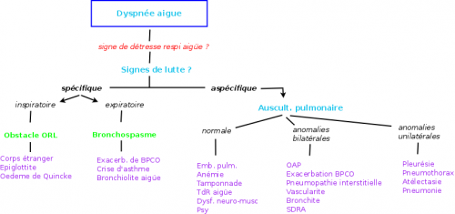 Dyspnée aiguë - MedG