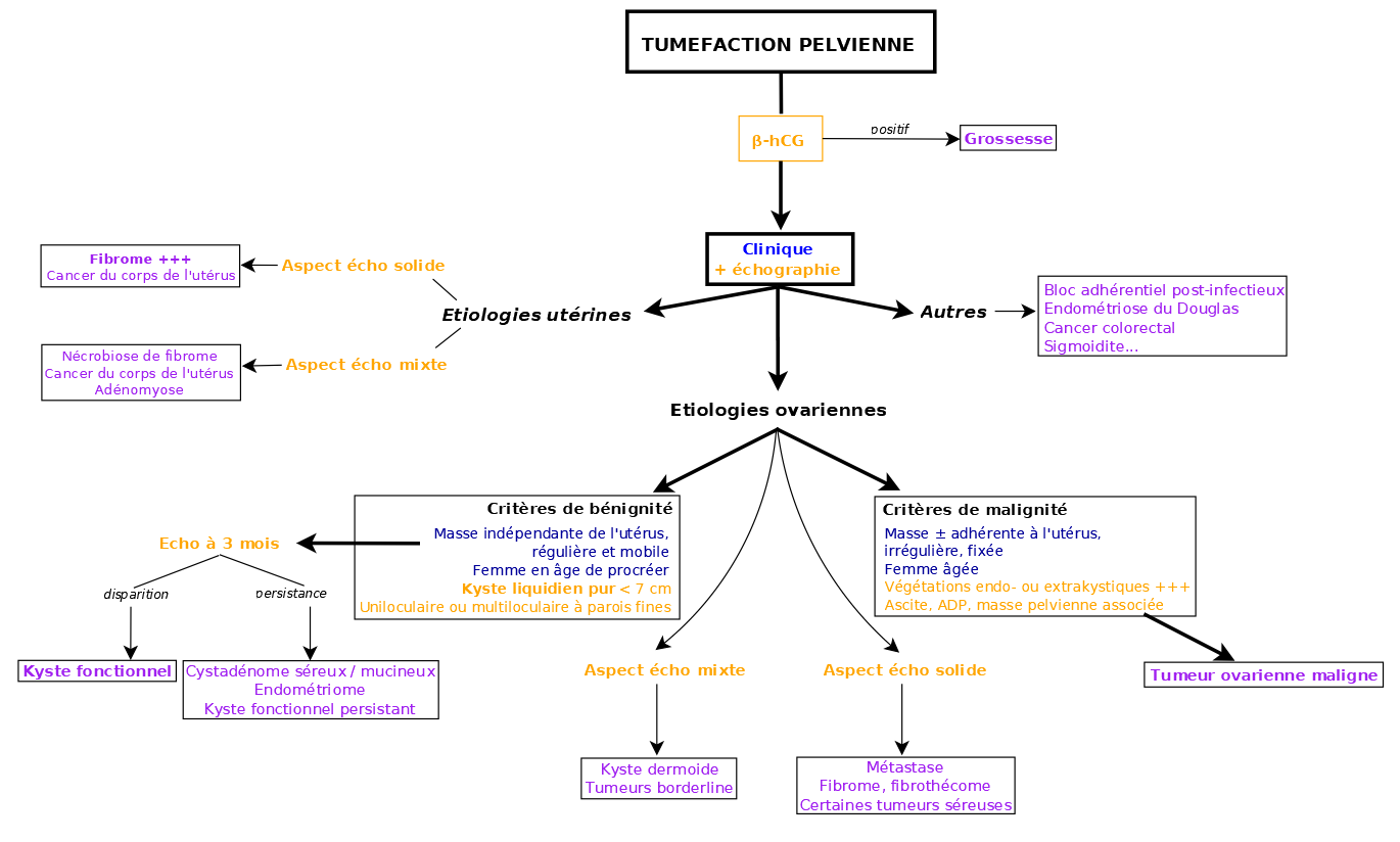 Tuméfaction pelvienne chez la femme - MedG