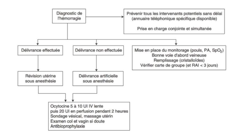 Hémorragie du post-partum immédiat - MedG