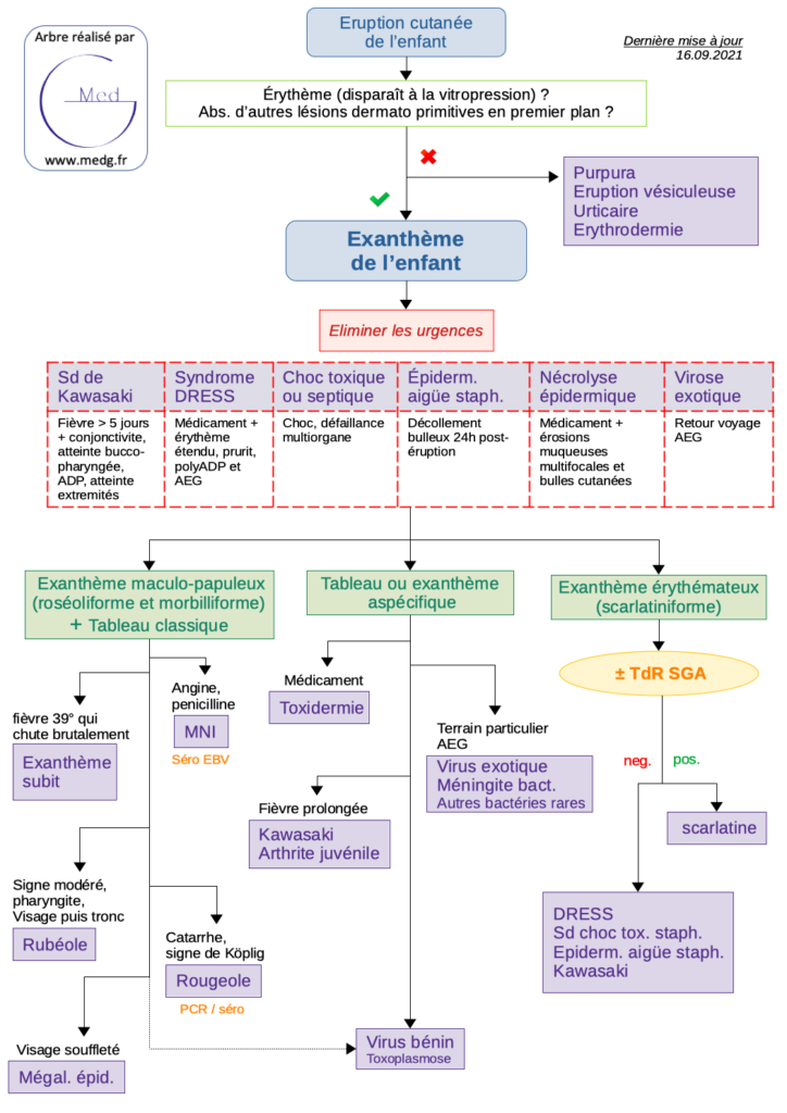 Exanthème de l'enfant - MedG